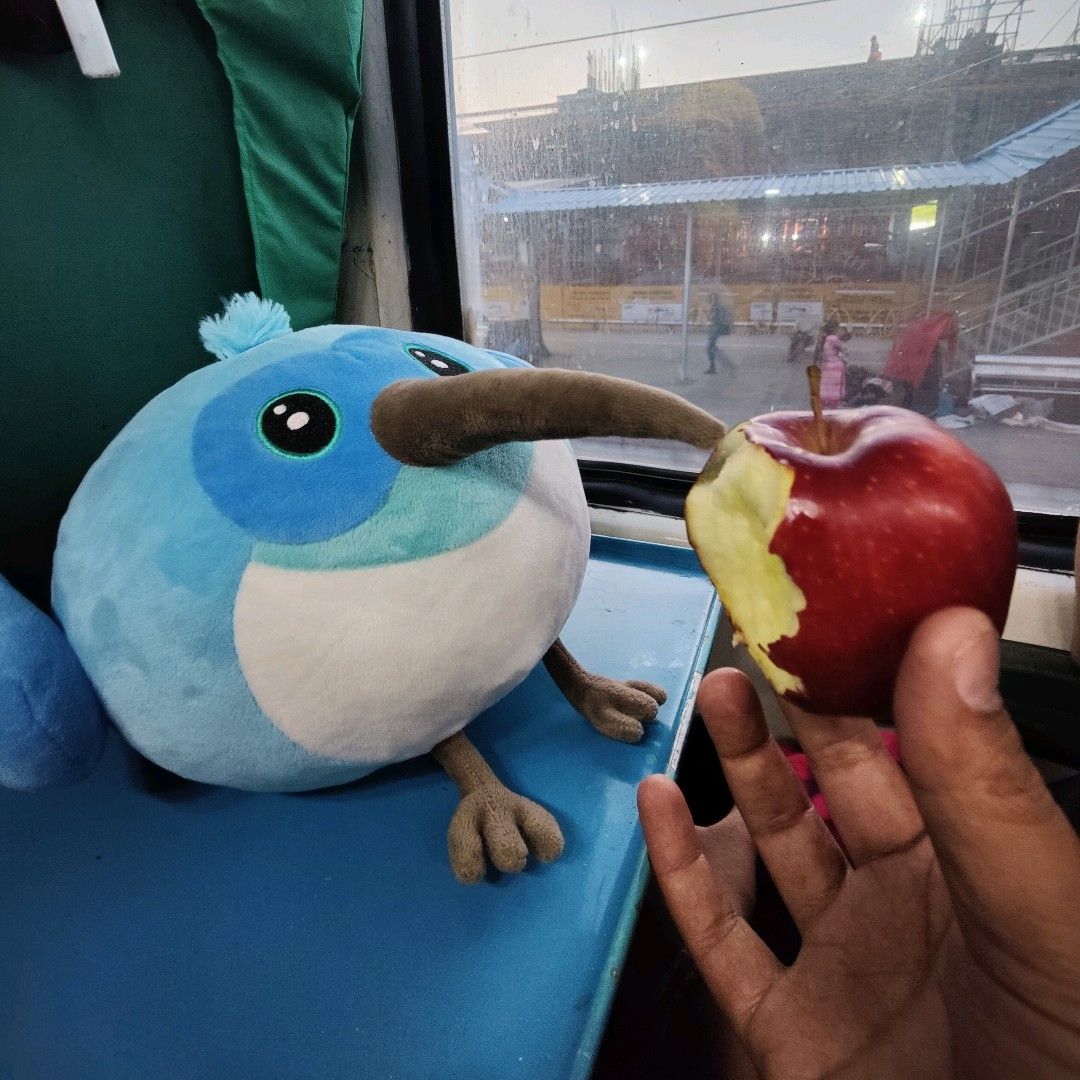 Pratik Butani on LinkedIn: #workshop #flutter #flutterdev #doubledecker ... Pratik Butani on LinkedIn: #workshop #flutter #flutterdev #doubledecker ...