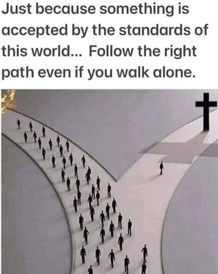 Moses Popescu on LinkedIn: There's only one path I follow .. | 28 comments Moses Popescu on LinkedIn: There's only one path I follow .. | 28 comments