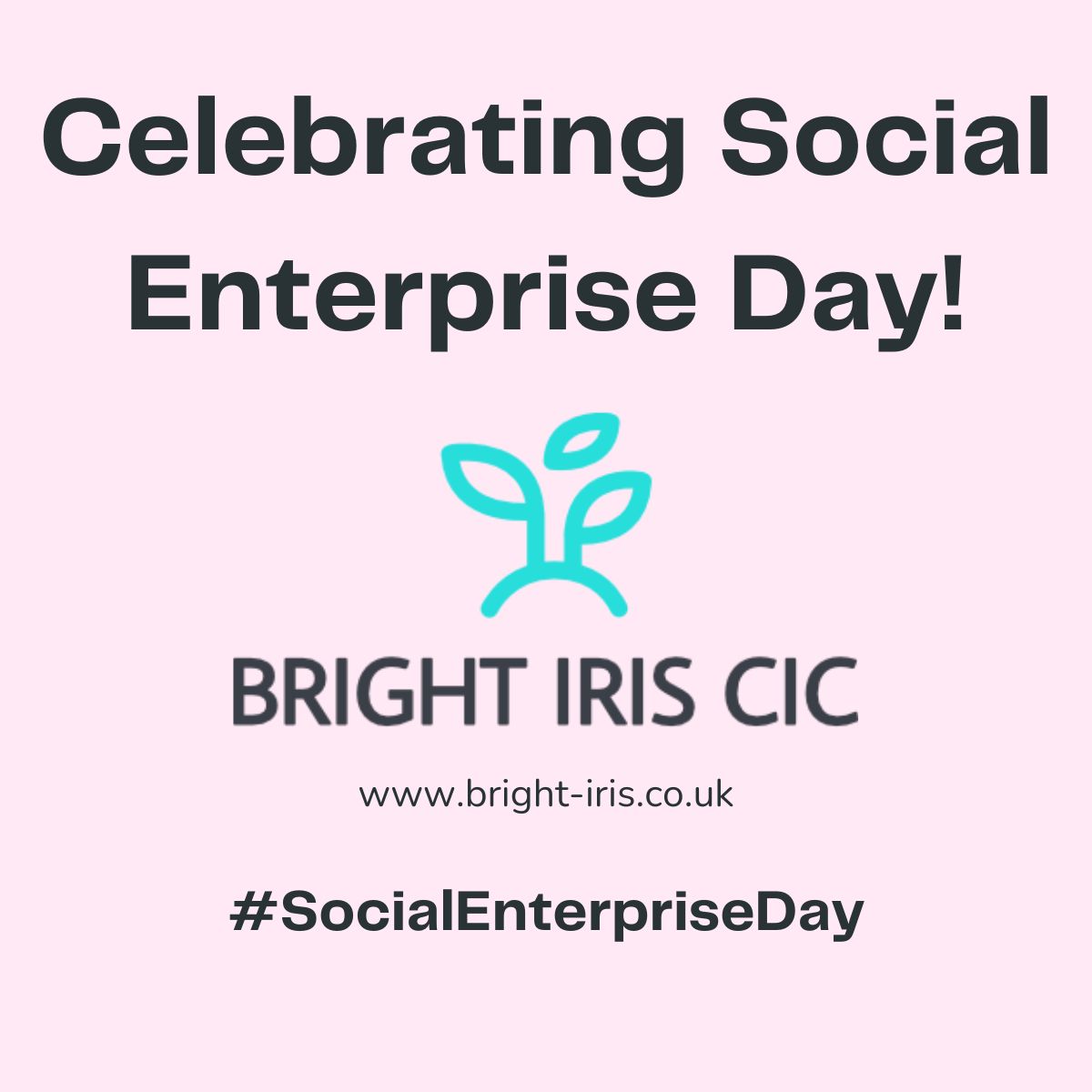 Danielle Goodwin on LinkedIn: Being a social enterprise makes Bright ... Danielle Goodwin on LinkedIn: Being a social enterprise makes Bright ...