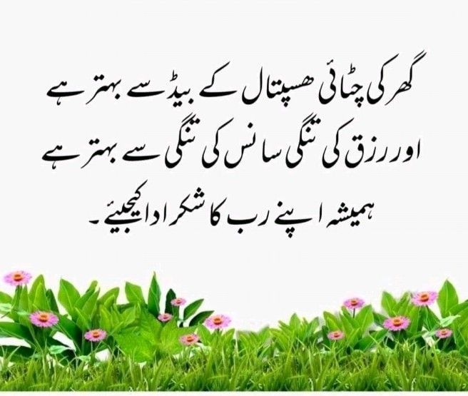 Abdul Qadeer on LinkedIn: Indeed Abdul Qadeer on LinkedIn: Indeed