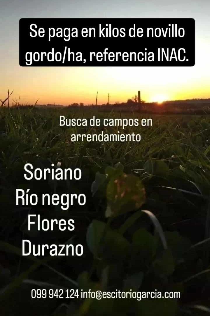 Jose Ramon Garcia Gomez posted on LinkedIn Jose Ramon Garcia Gomez posted on LinkedIn