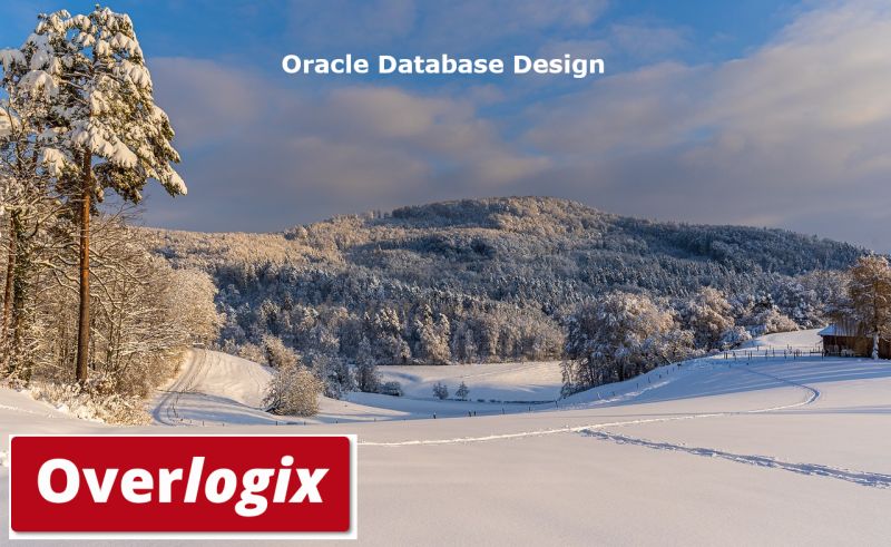Overlogix on LinkedIn: #oracle #databasedesign #database #datamodeling Overlogix on LinkedIn: #oracle #databasedesign #database #datamodeling