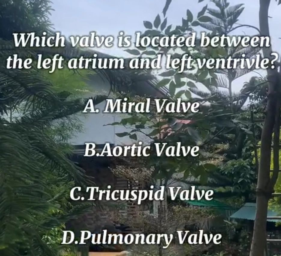 Dr. Tarun Shukla on LinkedIn: please choose correct answer. Dr. Tarun Shukla on LinkedIn: please choose correct answer.
