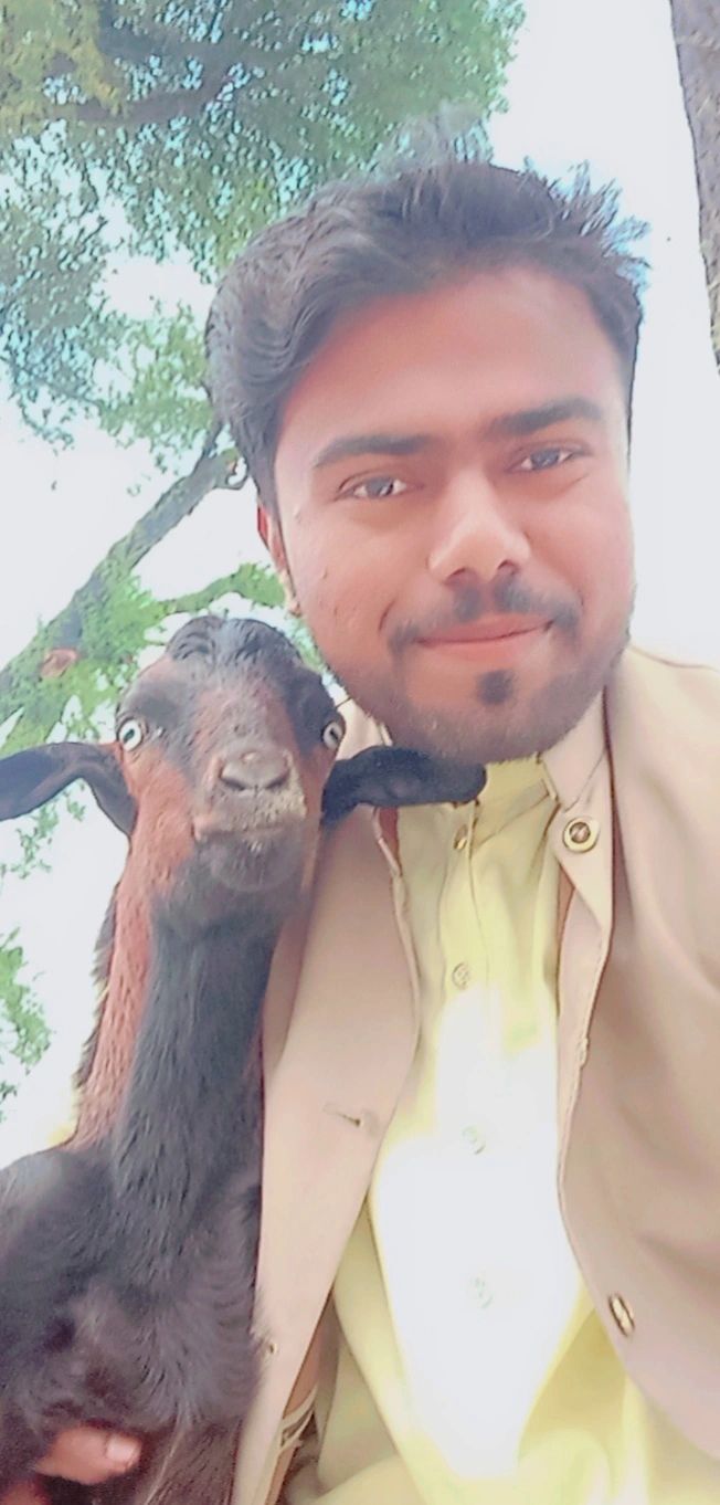 Vet Dr Nand Lal on LinkedIn: Cute 🥰 Vet Dr Nand Lal on LinkedIn: Cute 🥰