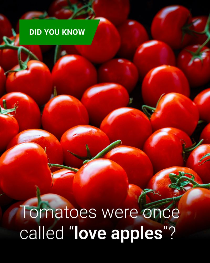 Vegtech Netafim on LinkedIn: #trivia #didyouknow #sustainableeating # ... Vegtech Netafim on LinkedIn: #trivia #didyouknow #sustainableeating # ...