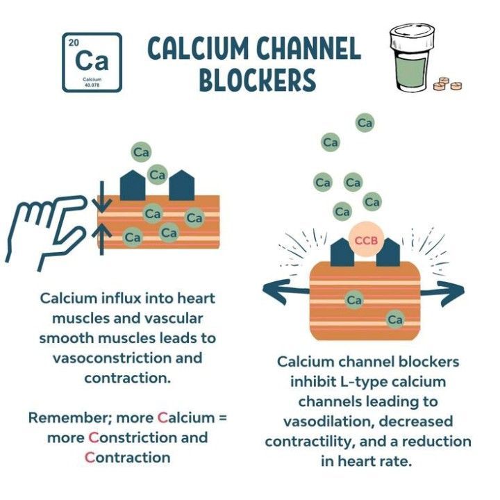 Sagar Rajkuwar on LinkedIn: #calcium #how #how #how #which Sagar Rajkuwar on LinkedIn: #calcium #how #how #how #which
