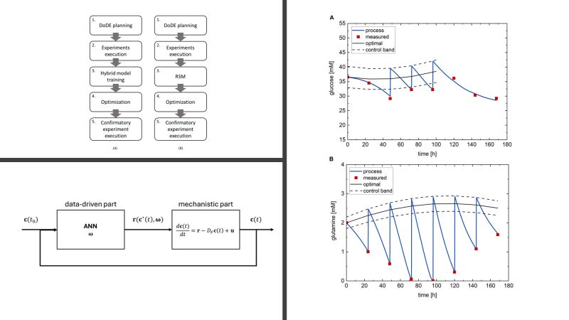 PolyModels Hub on LinkedIn: Frontiers | Bioprocess feeding optimization ... PolyModels Hub on LinkedIn: Frontiers | Bioprocess feeding optimization ...