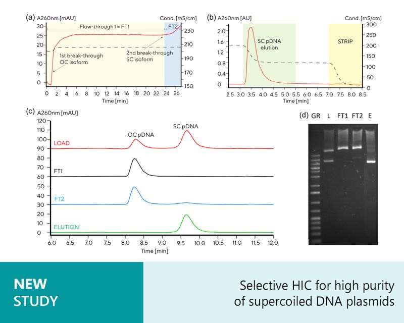 BIA Separations Inc. on LinkedIn: #pdna #purification #mrna # ... BIA Separations Inc. on LinkedIn: #pdna #purification #mrna # ...