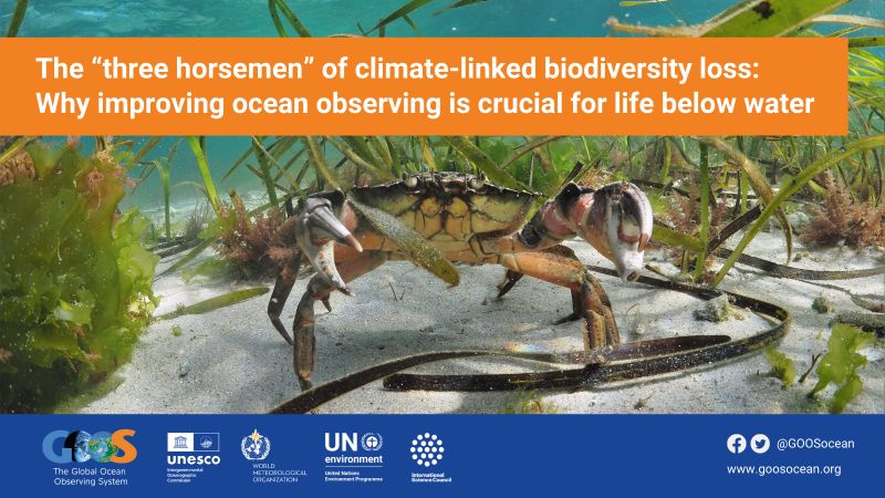 Global Ocean Observing System (GOOS) on LinkedIn: #marinebiodiversity # ... Global Ocean Observing System (GOOS) on LinkedIn: #marinebiodiversity # ...