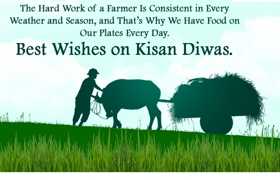 Sumit Pandey on LinkedIn: #kisan #farmers Sumit Pandey on LinkedIn: #kisan #farmers