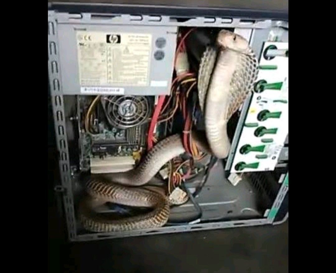 python installation was succesful | Roshan jha python installation was succesful | Roshan jha