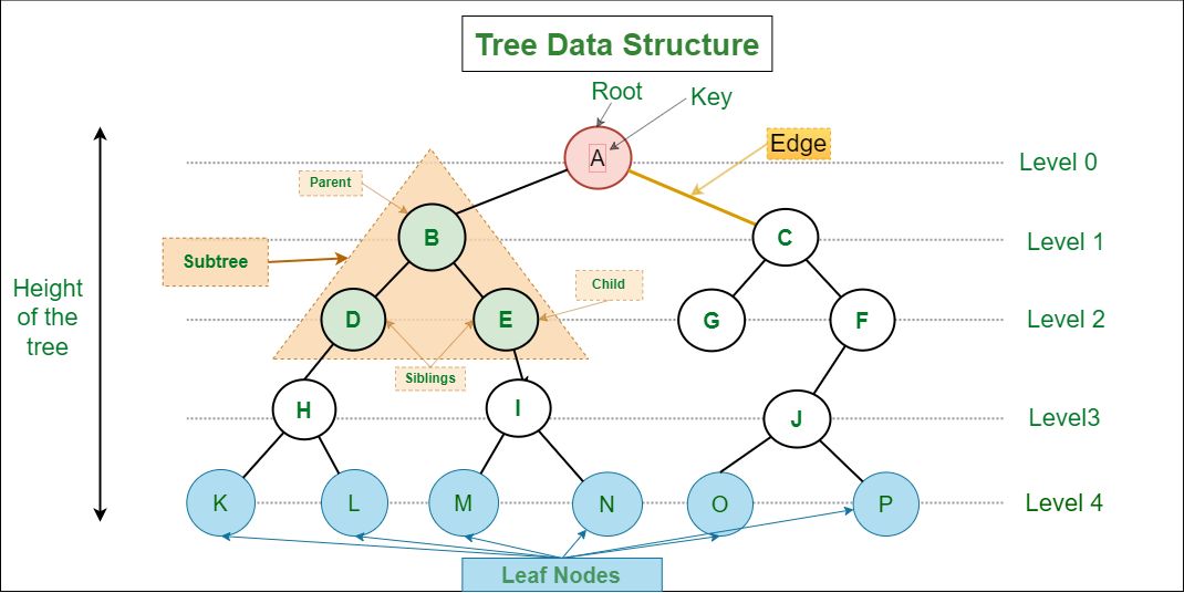 #dsa #datastructures #algorithms #trees #binarytrees #bst #avltrees # ... #dsa #datastructures #algorithms #trees #binarytrees #bst #avltrees # ...