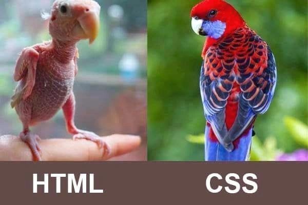 Ayush Raghuwanshi on LinkedIn: #programming #memes #developers Ayush Raghuwanshi on LinkedIn: #programming #memes #developers