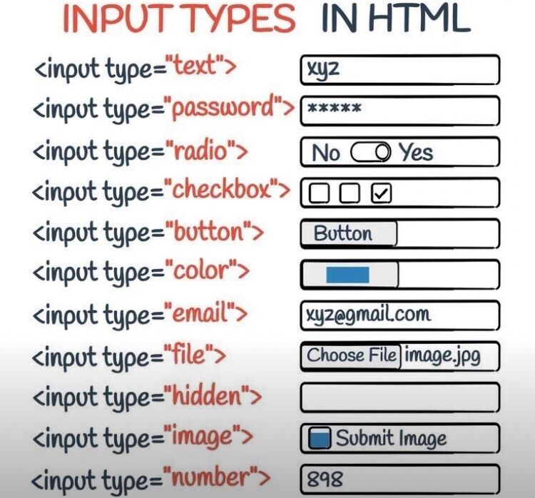 Qaisar Habib on LinkedIn: 🌟 Exploring the Dynamic World of HTML Input ... Qaisar Habib on LinkedIn: 🌟 Exploring the Dynamic World of HTML Input ...