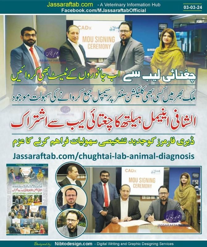 Umar Haider on LinkedIn: #pakistan #livestock #livestockfarming # ... Umar Haider on LinkedIn: #pakistan #livestock #livestockfarming # ...
