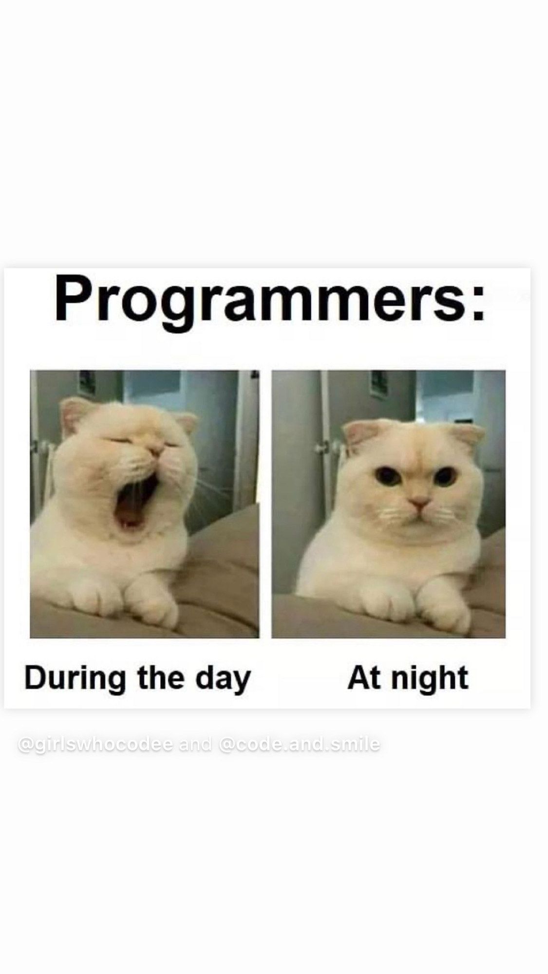 TechVidvan on LinkedIn: #developers #programming #programminglanguages ... TechVidvan on LinkedIn: #developers #programming #programminglanguages ...