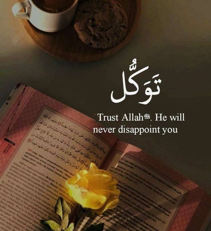 Mazhar Hussain posted on LinkedIn Mazhar Hussain posted on LinkedIn