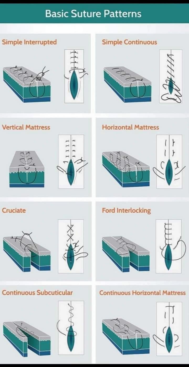 Vet Dr Nand Lal posted on LinkedIn Vet Dr Nand Lal posted on LinkedIn
