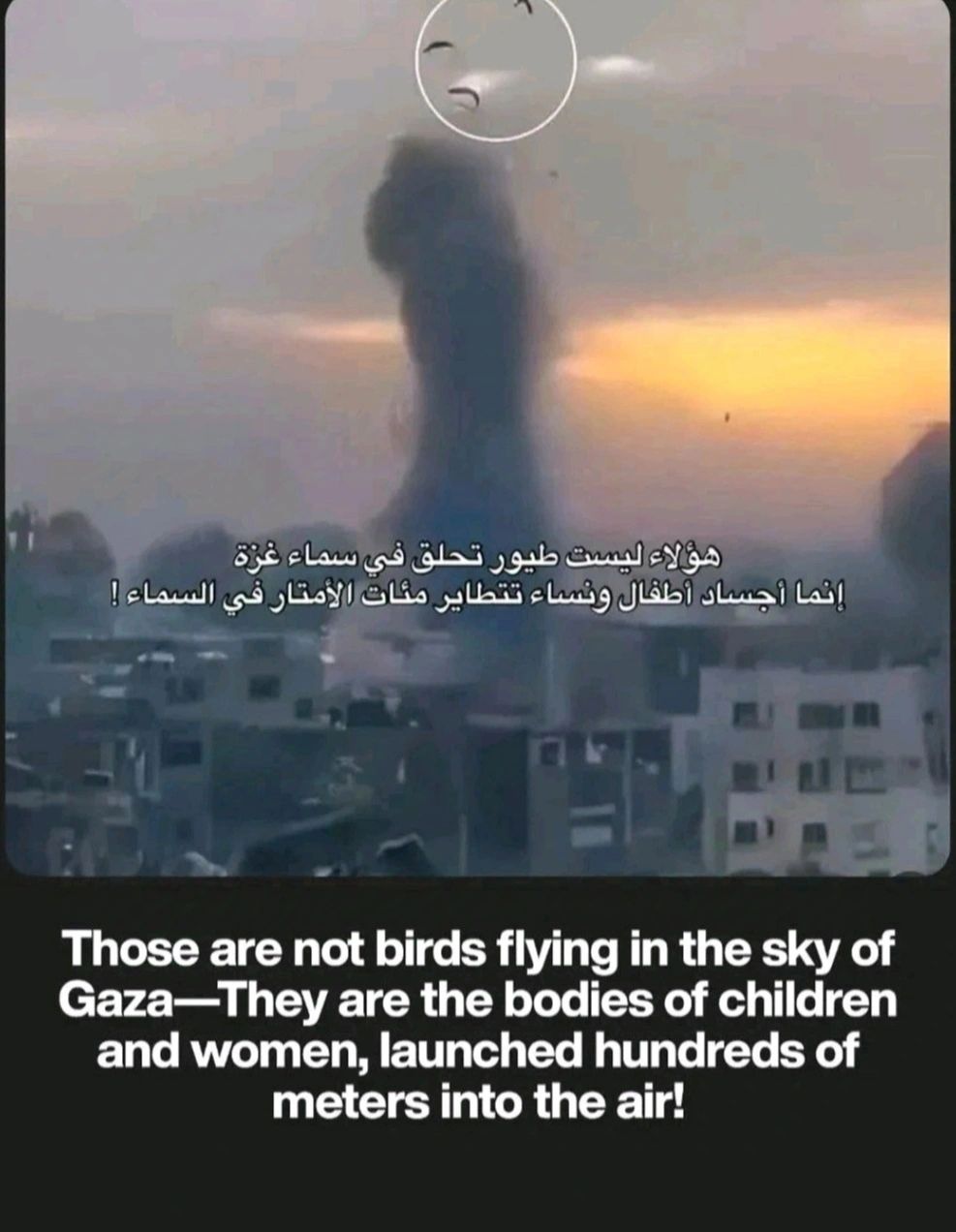 #gaza #palestine #prayforgaza #humanity #standwithpalestine | Zuhaib Asif #gaza #palestine #prayforgaza #humanity #standwithpalestine | Zuhaib Asif