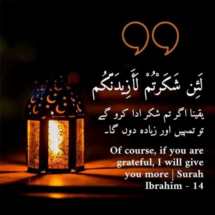 Fateh Muhammad on LinkedIn: Alhumdhulillah Fateh Muhammad on LinkedIn: Alhumdhulillah