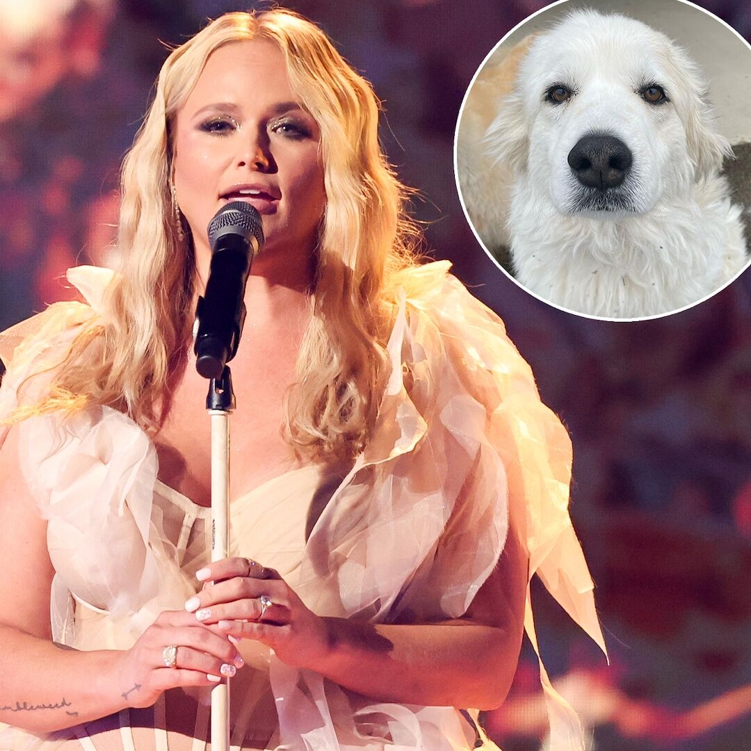 NewsFlash.one on LinkedIn: Miranda Lambert Mourns Death of Her Dog ... NewsFlash.one on LinkedIn: Miranda Lambert Mourns Death of Her Dog ...