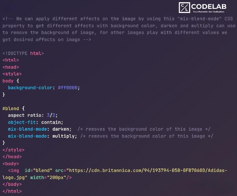 How to spice up your website with CSS | Codelab IT Solutions posted on ... How to spice up your website with CSS | Codelab IT Solutions posted on ...