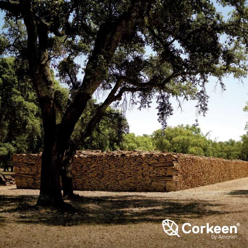 Corkeen by Amorim on LinkedIn: Environmental & Social benefits Corkeen by Amorim on LinkedIn: Environmental & Social benefits