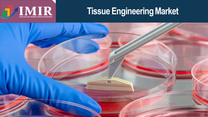 IMIR Market Research Pvt. Ltd. on LinkedIn: Tissue Engineering Market ... IMIR Market Research Pvt. Ltd. on LinkedIn: Tissue Engineering Market ...