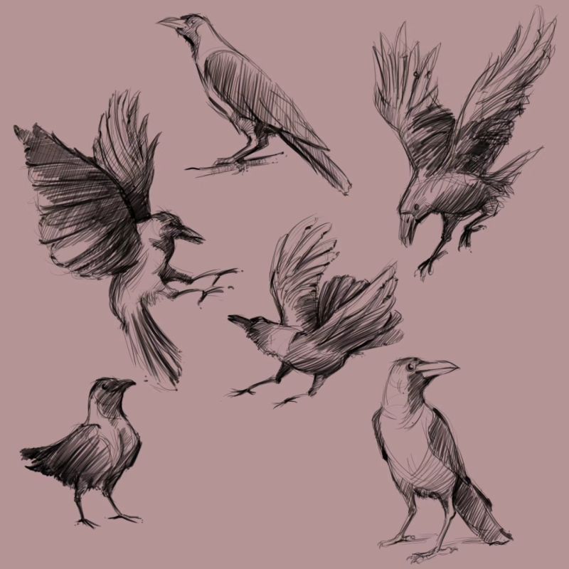 Abhishek Khot on LinkedIn: #practice #lineart #concept #crow #revan # ... Abhishek Khot on LinkedIn: #practice #lineart #concept #crow #revan # ...