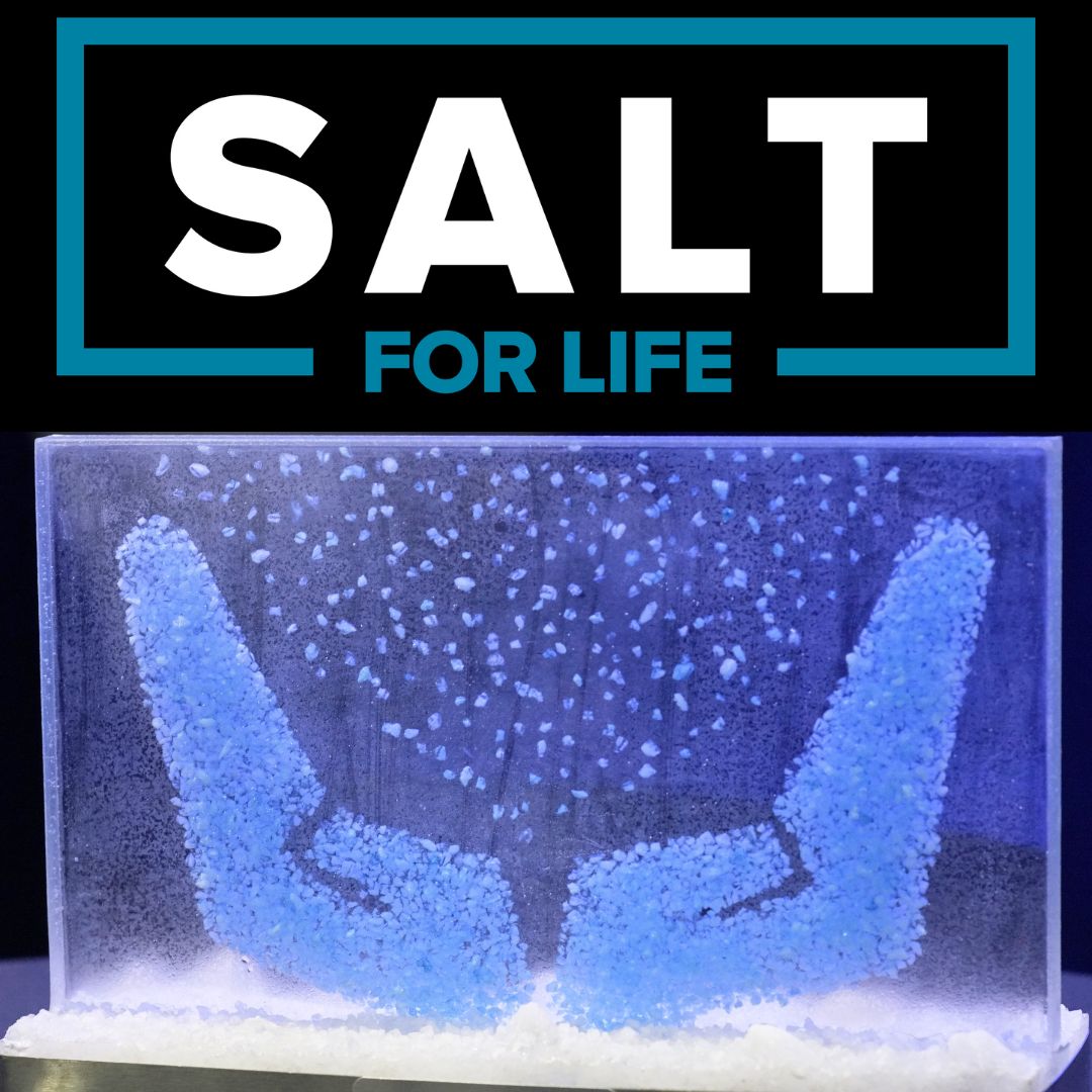 Salt Therapy Association on LinkedIn: #staconlive2023 #staconlive # ... Salt Therapy Association on LinkedIn: #staconlive2023 #staconlive # ...