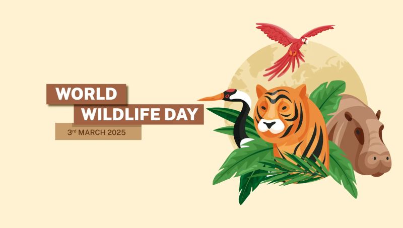 #worldwildlifeday #wildlifeconservation #indiaswildlife # ... #worldwildlifeday #wildlifeconservation #indiaswildlife # ...