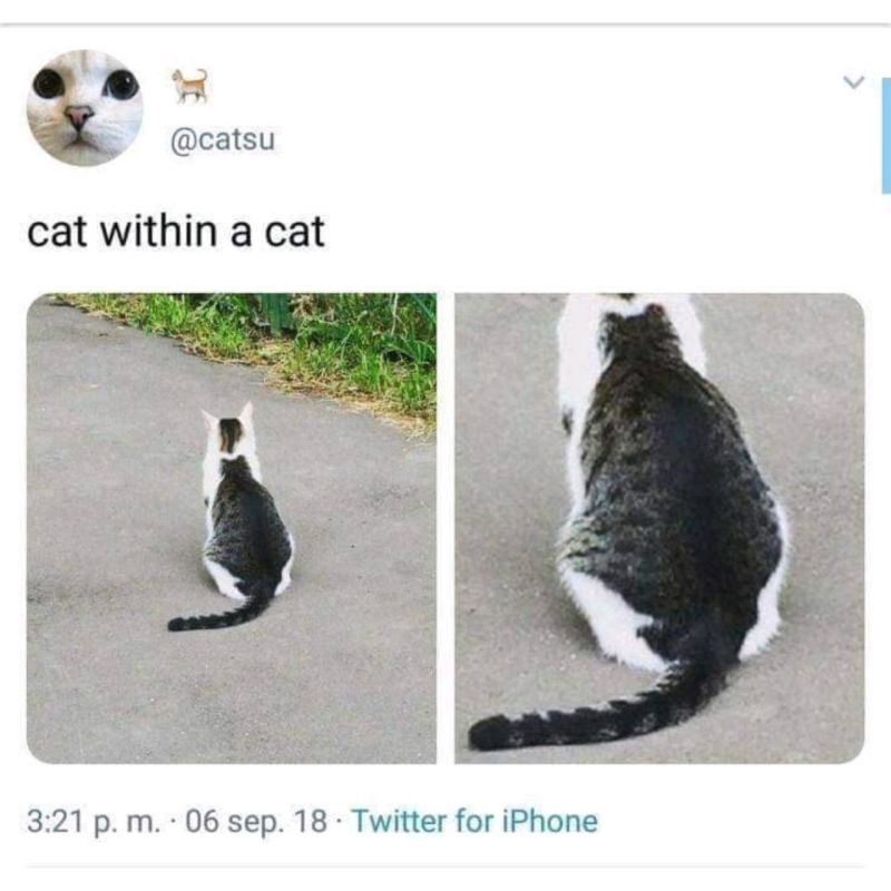 Muhammad Talha Atif on LinkedIn: #codingisfun #codingisfun #memesdaily ... Muhammad Talha Atif on LinkedIn: #codingisfun #codingisfun #memesdaily ...