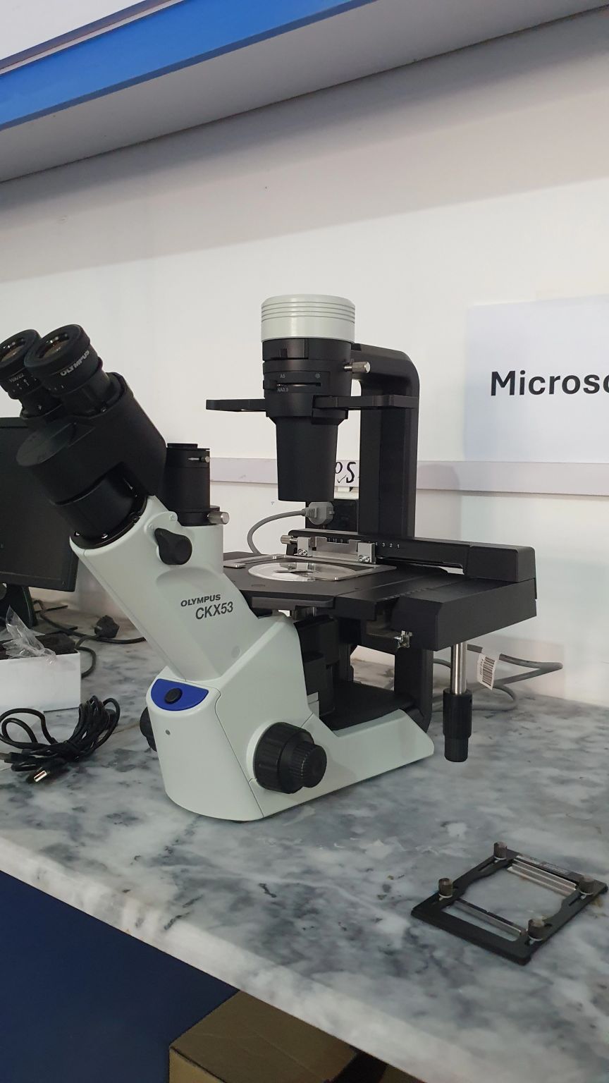 Evident Olympus Inverted Microscope CKX53 with Camera installed at ... Evident Olympus Inverted Microscope CKX53 with Camera installed at ...