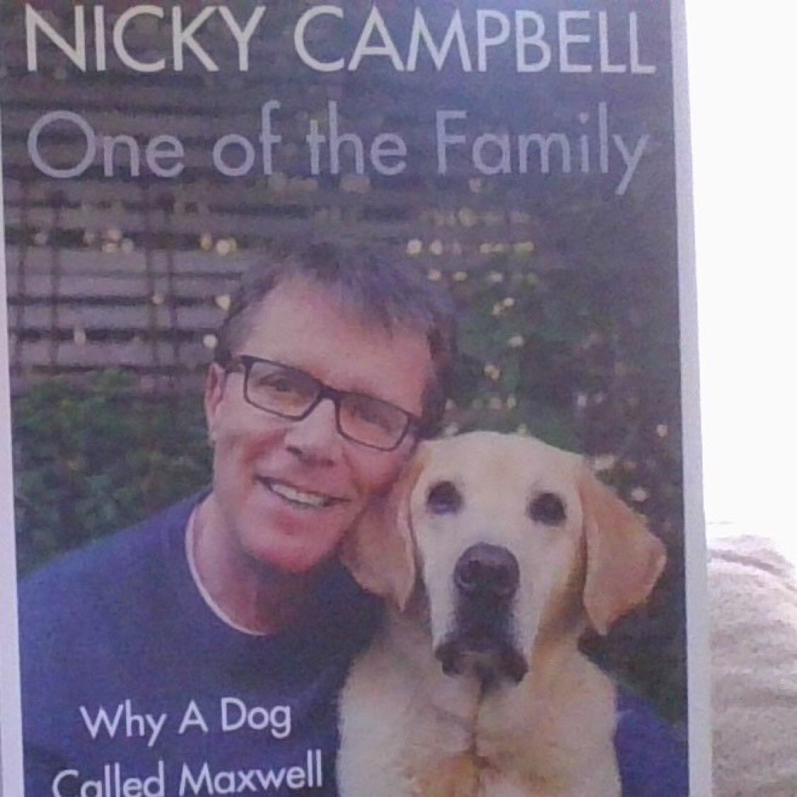 dominic dyer on LinkedIn: #dogs dominic dyer on LinkedIn: #dogs