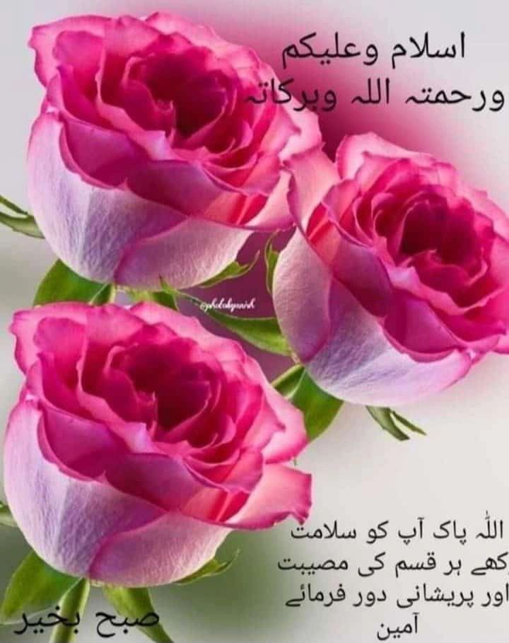 Manzoor Ali Qureshi on LinkedIn: Ameen sum Ameen bijahay Syed ul ... Manzoor Ali Qureshi on LinkedIn: Ameen sum Ameen bijahay Syed ul ...