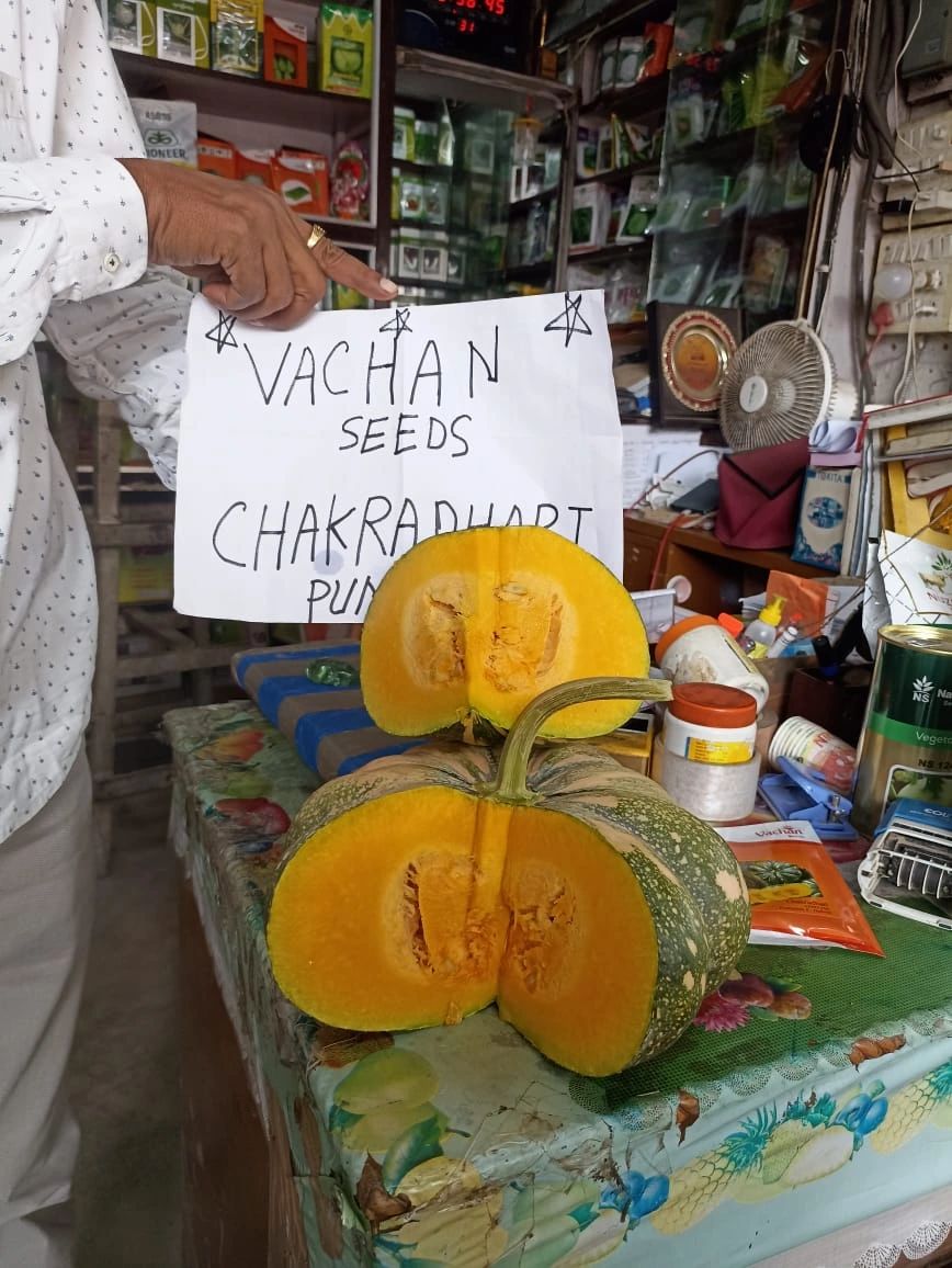 Nishant kumar singh on LinkedIn: #vachan #seeds #pumpkin #chakradhari # ... Nishant kumar singh on LinkedIn: #vachan #seeds #pumpkin #chakradhari # ...