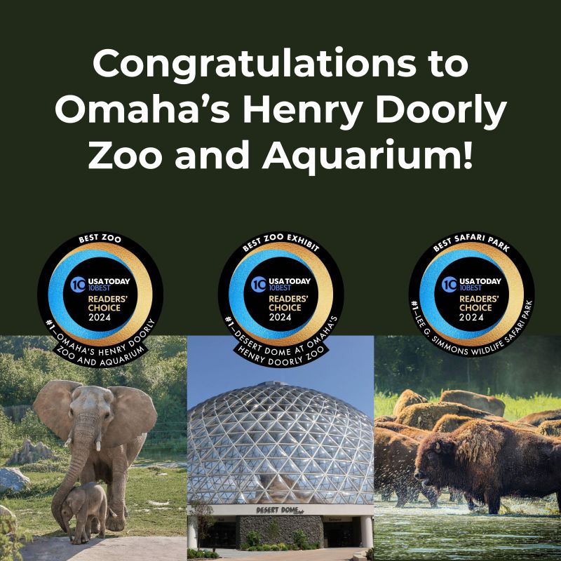 Omaha STEM Ecosystem on LinkedIn: #stem #omahastem #omahastemecosystem ... Omaha STEM Ecosystem on LinkedIn: #stem #omahastem #omahastemecosystem ...