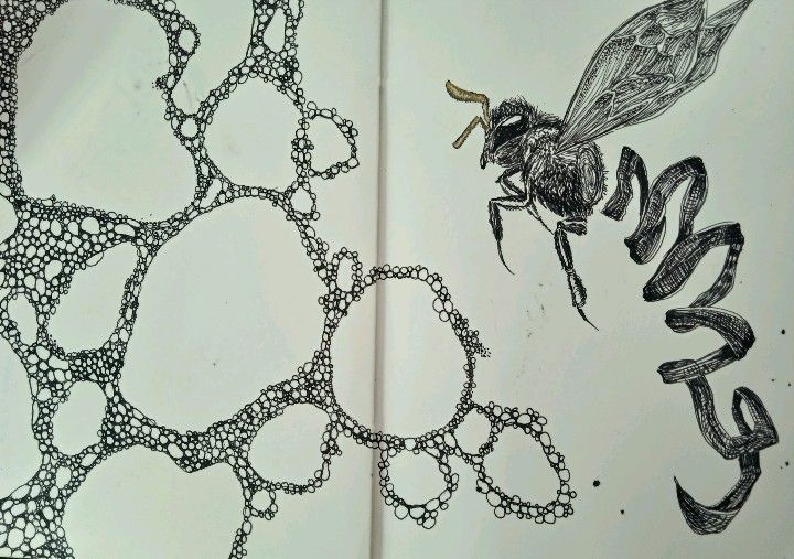 UMME ROMAN on LinkedIn: In a world where every bee had its place in the ... UMME ROMAN on LinkedIn: In a world where every bee had its place in the ...