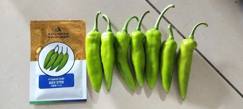 Dr. Sachin Khedekar on LinkedIn: Advanta Hotpepper Dr. Sachin Khedekar on LinkedIn: Advanta Hotpepper