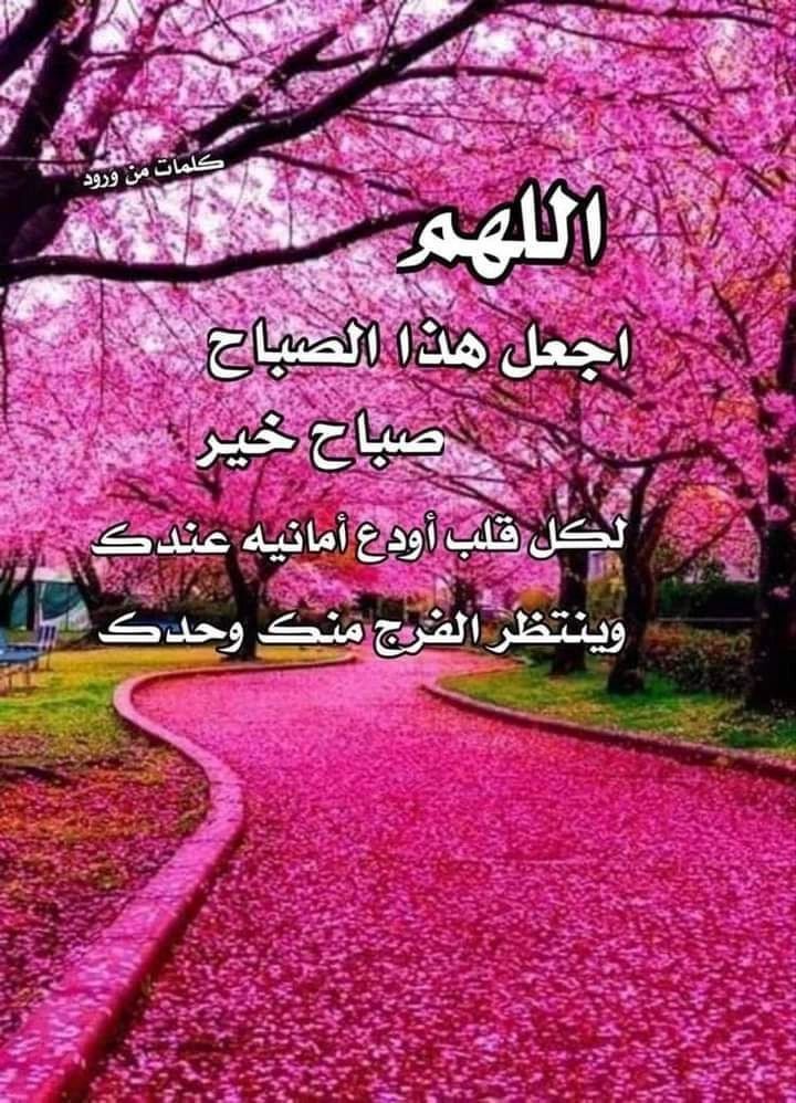 Ahmed Mohamed Salah Mohamed Ebrahem posted on LinkedIn Ahmed Mohamed Salah Mohamed Ebrahem posted on LinkedIn
