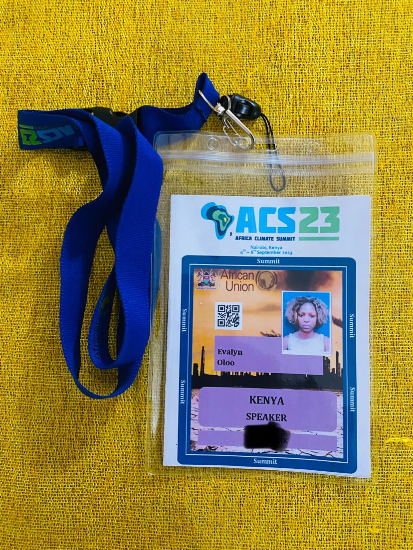 Evalyn Oloo on LinkedIn: #africaclimatesummit Evalyn Oloo on LinkedIn: #africaclimatesummit