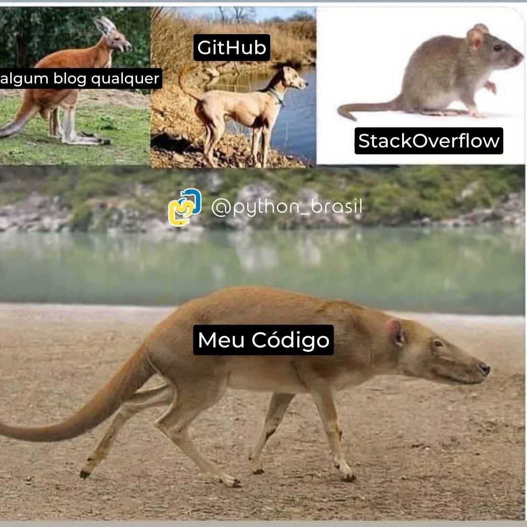 #programmingmemes #webdev #codingmemes #programmer #java #python ... #programmingmemes #webdev #codingmemes #programmer #java #python ...