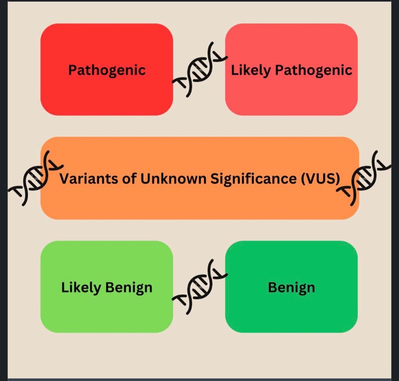 Mohammad Atif, MSc. on LinkedIn: #ngs #bioinformatics #variants Mohammad Atif, MSc. on LinkedIn: #ngs #bioinformatics #variants