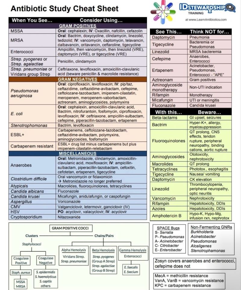 Zeeshan Ahmed Khattak on LinkedIn: Antibiotic Study Cheat Sheet Zeeshan Ahmed Khattak on LinkedIn: Antibiotic Study Cheat Sheet