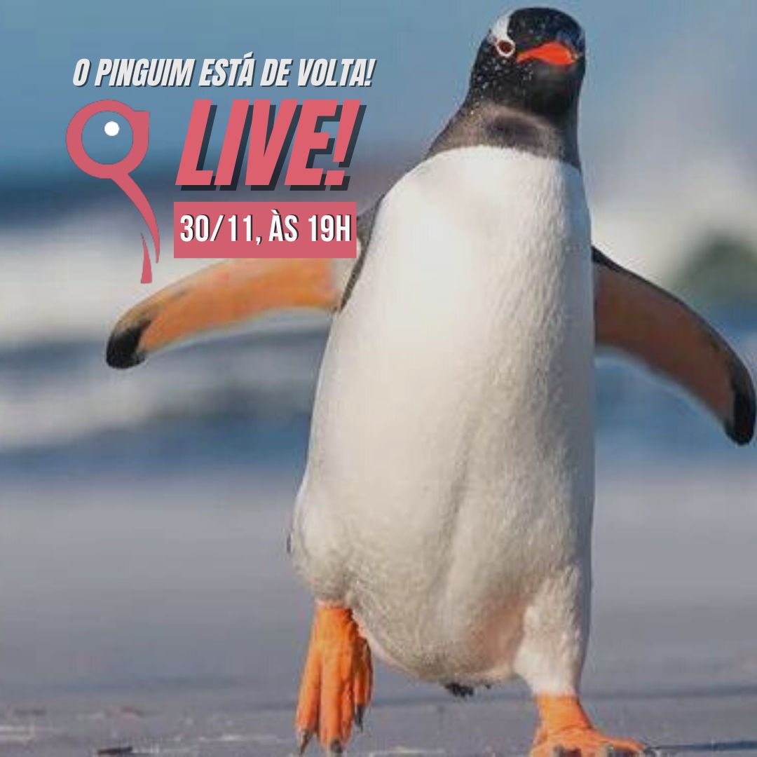 Pinguim do Laravel no LinkedIn: #laravelphp #php #laravel # ... Pinguim do Laravel no LinkedIn: #laravelphp #php #laravel # ...