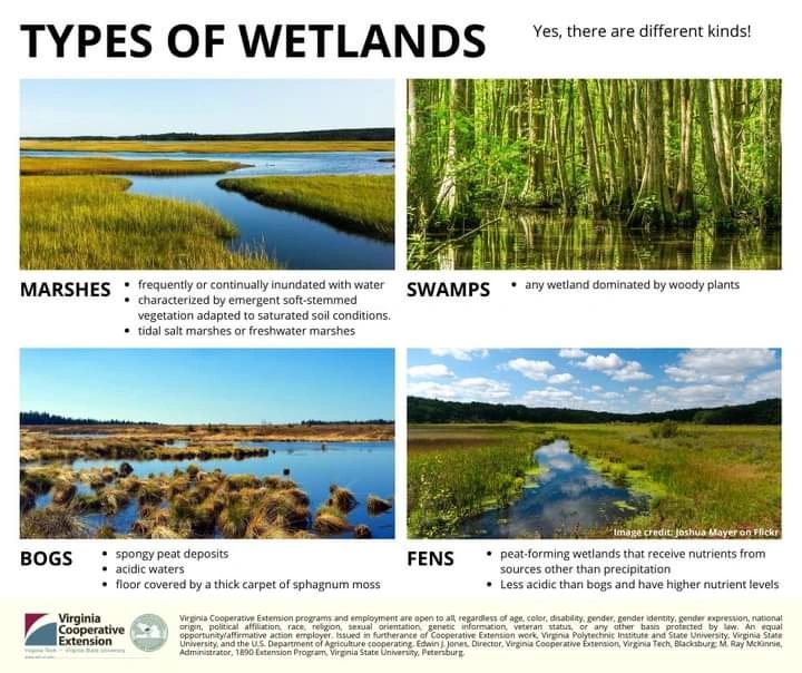 Muhammad Asif Khan on LinkedIn: #wetlands Muhammad Asif Khan on LinkedIn: #wetlands