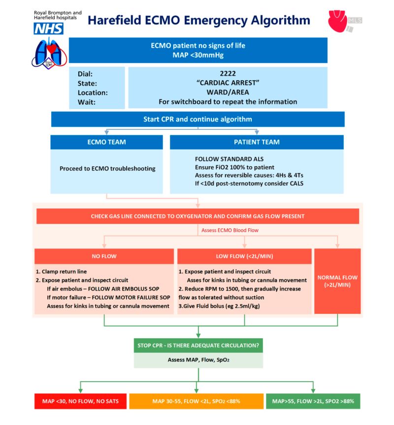 Marta Velia Antonini LinkedIn‘de: #mls #ecmo #resuscitation #simulation ... Marta Velia Antonini LinkedIn‘de: #mls #ecmo #resuscitation #simulation ...
