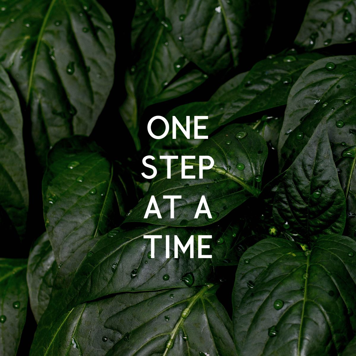 Snehal Salunkhe on LinkedIn: ⭐ ONE STEP AT A TIME ⭐ That's how we need ... Snehal Salunkhe on LinkedIn: ⭐ ONE STEP AT A TIME ⭐ That's how we need ...
