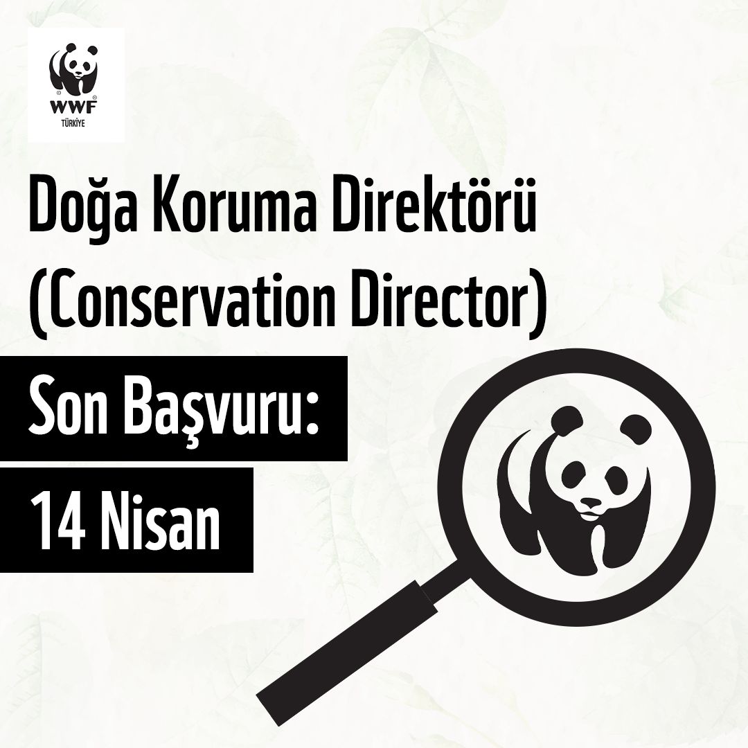 NEYRAN SAVASMAN AKYILDIZ, PhD on LinkedIn: 💚 NEYRAN SAVASMAN AKYILDIZ, PhD on LinkedIn: 💚
