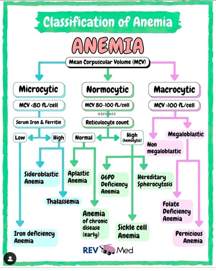 sara Ehab on LinkedIn: classification of Anemia sara Ehab on LinkedIn: classification of Anemia